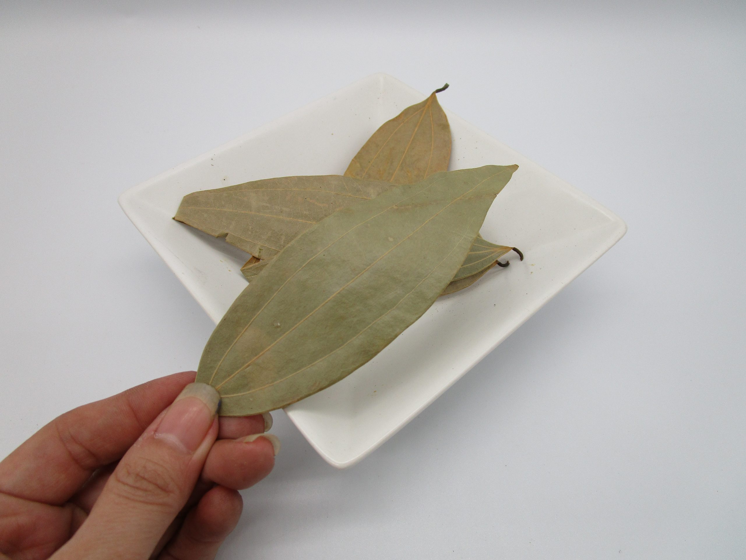 BAY LEAVES 500G 月桂叶 / 香叶 500G - JinChun Dry Foods